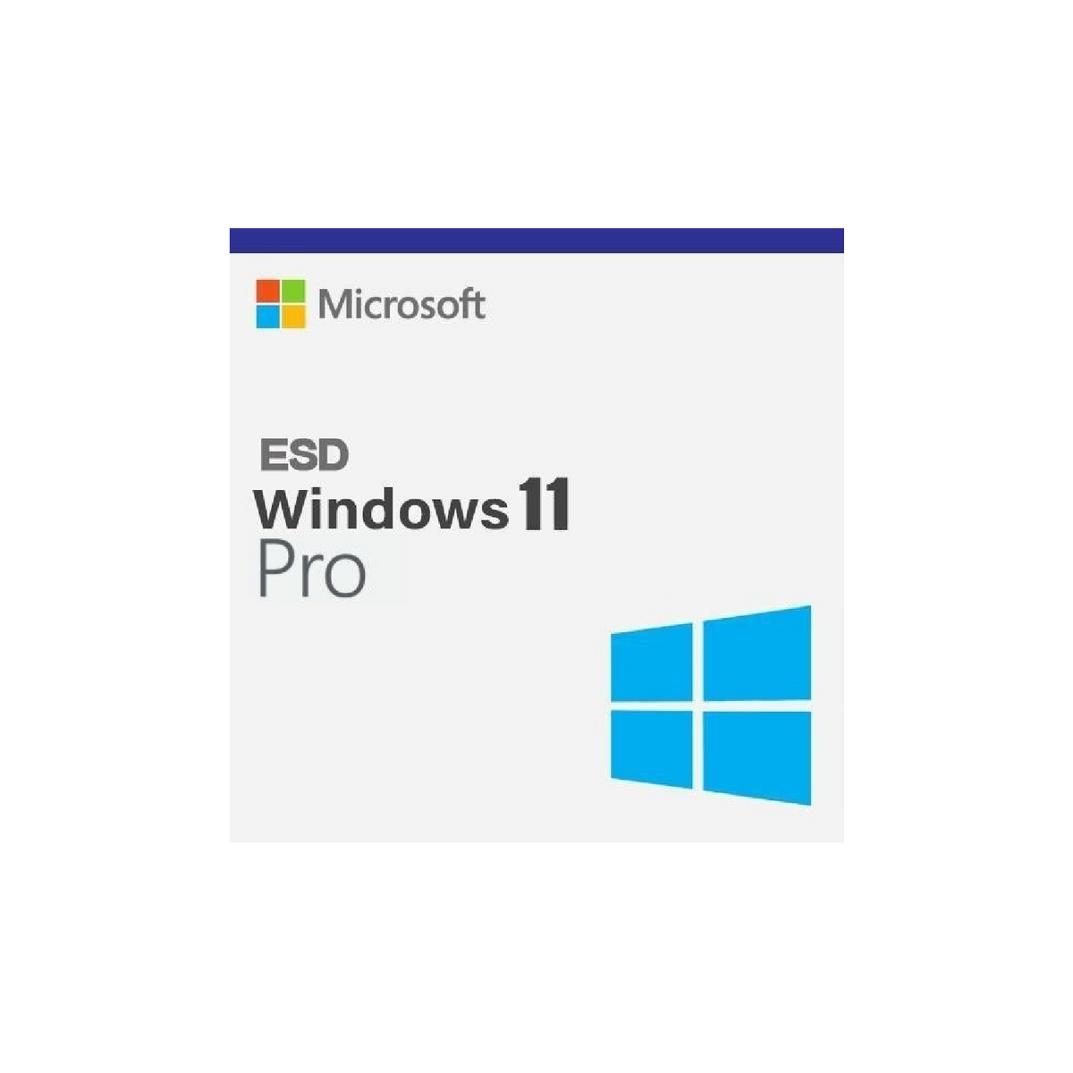 Microsoft Windows 11 Pro ESD Lisans TR/ENG FQC-10572 – Enormas